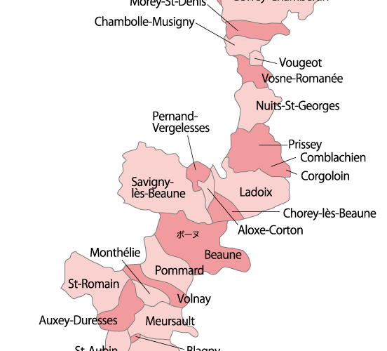 Fixin（フィサン） | Tell me Wine by Firadis