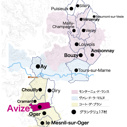 Avize（アヴィーズ） | Tell me Wine by Firadis